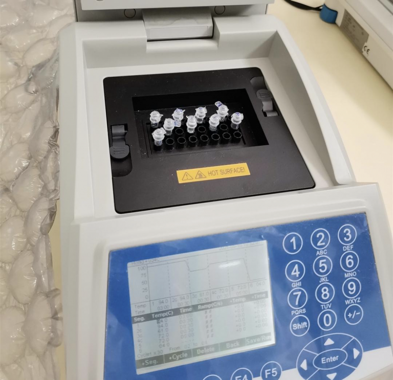 🧬 Detección del Gen TAS2R38: Polimorfismo Humano y Percepción del Sabor ...