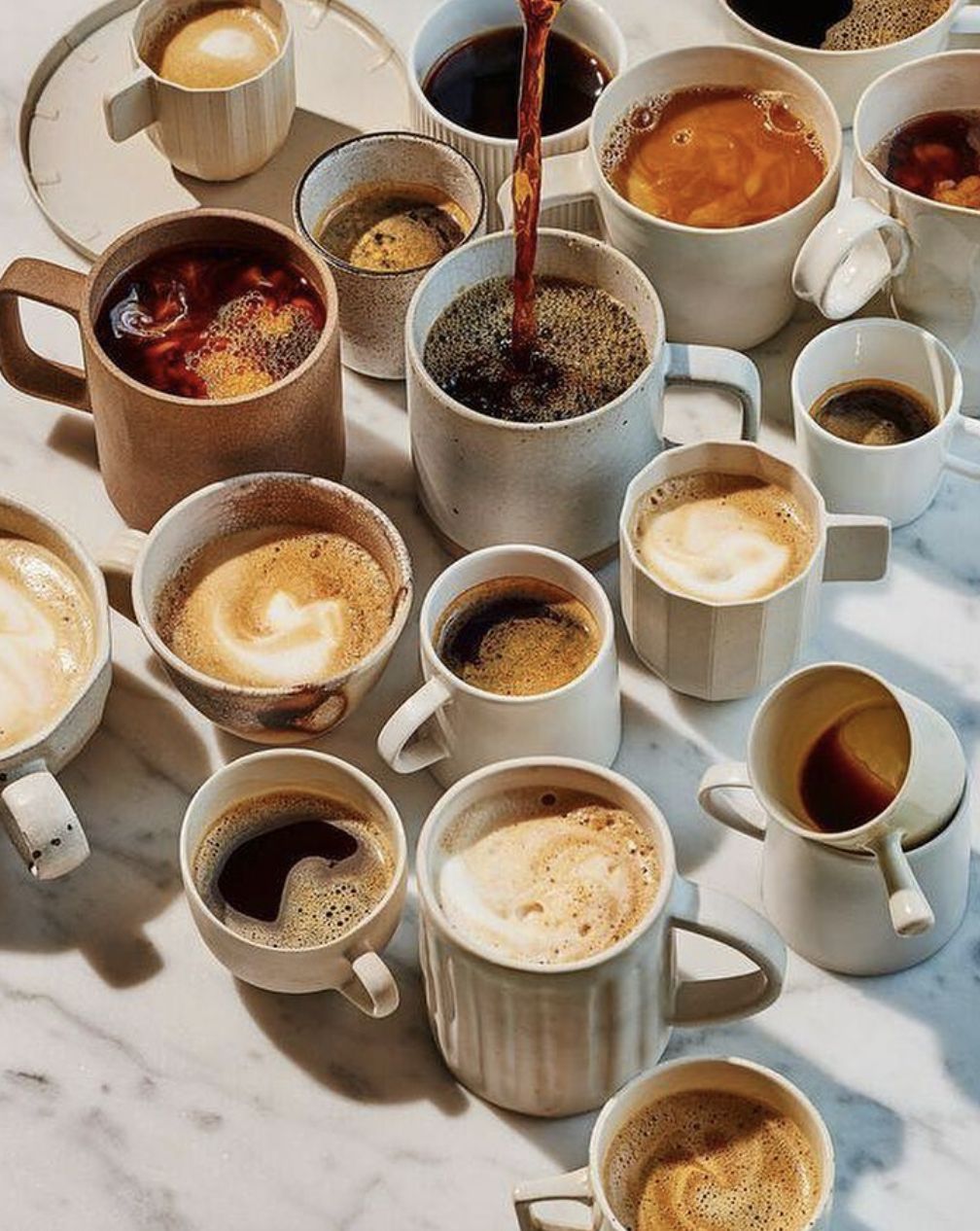 ☕ Café: Origen Botánico Y Composición Química - Azul Alcian