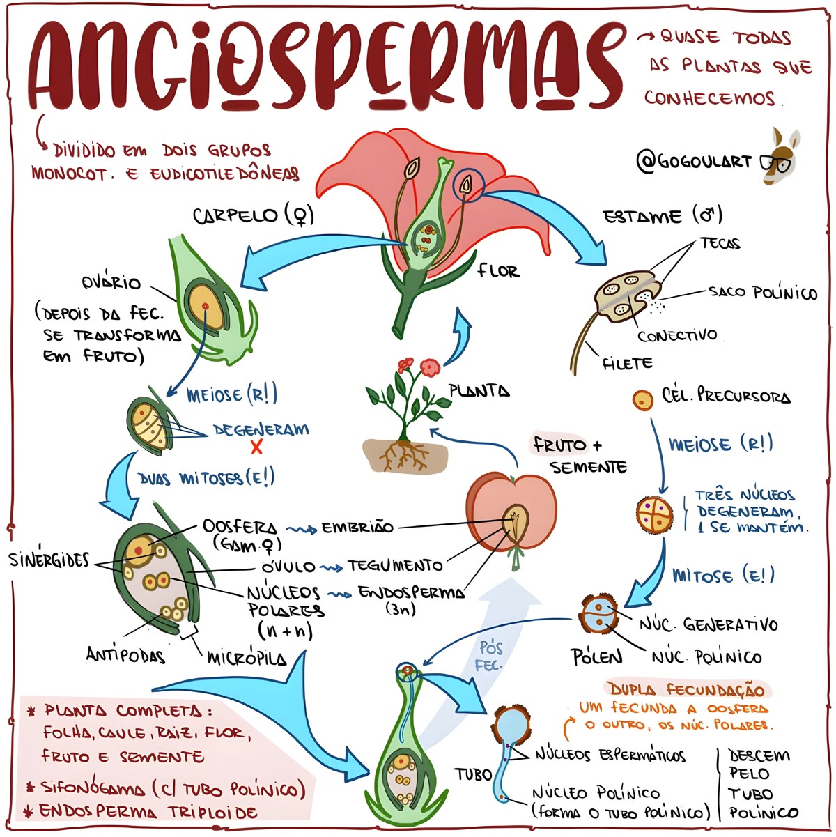 🔬 Tipos de Autolisis Cadavérica y Cómo Afectan a los Órganos del Cuerpo ...